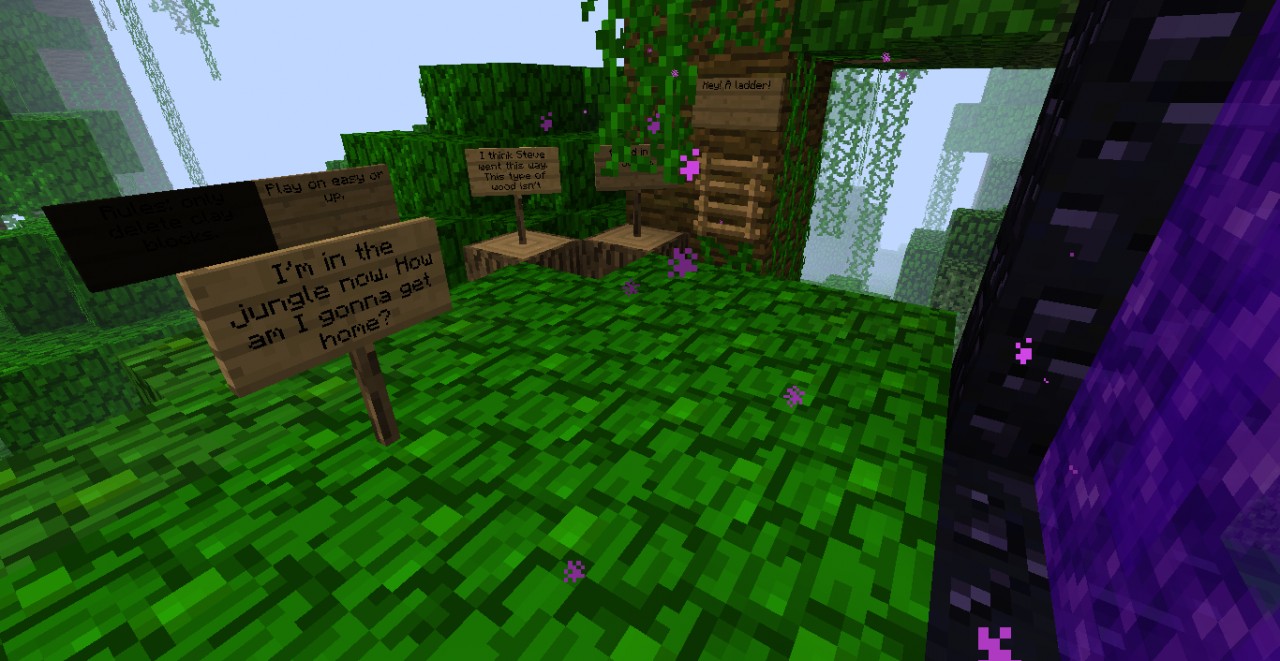 Where is Steve? Part 3 Minecraft Map