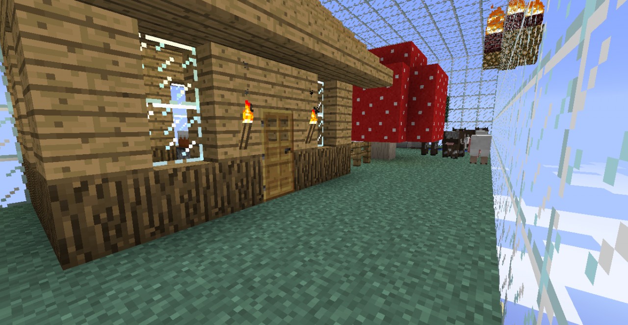 Survival Box Minecraft Map