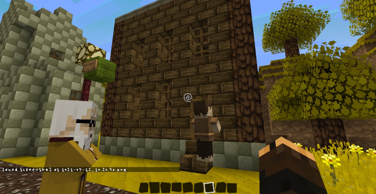 Mundane Town Minecraft Map