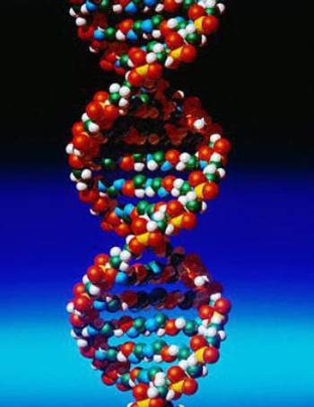 DNA structure Minecraft Map