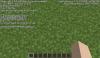 SuperFlat Seed with A village Next to spawn! Minecraft Map