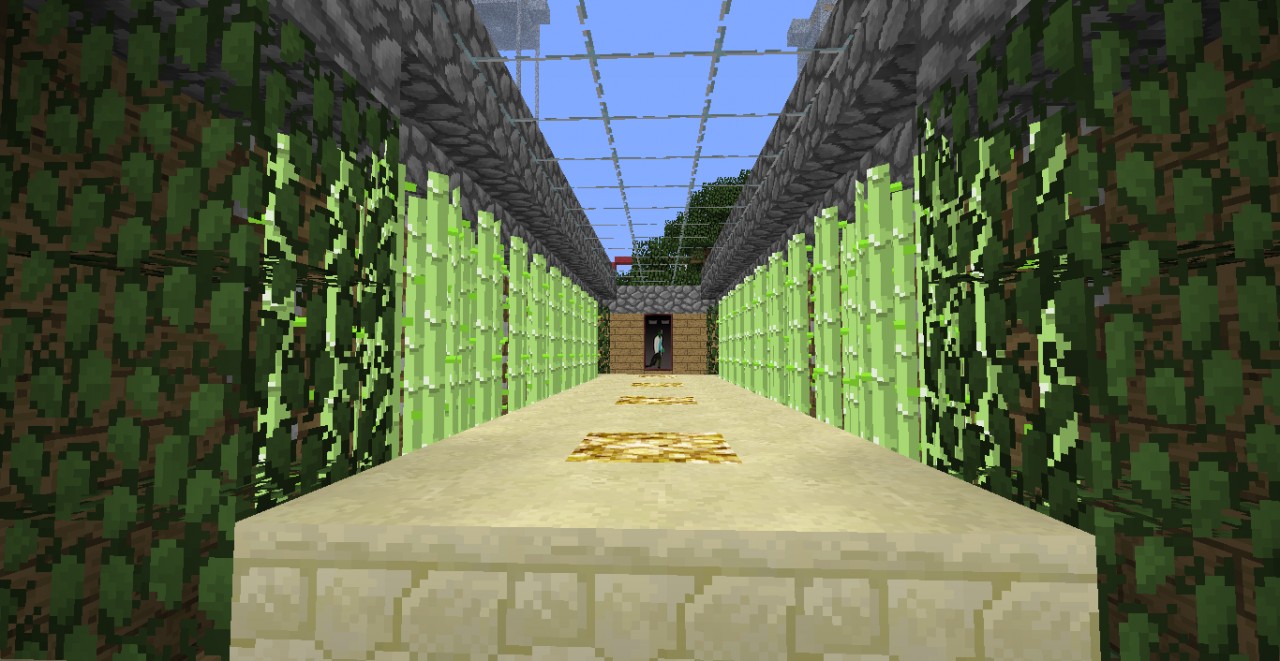 My survival world, with enderman farm and Iron Gollum spawner ...