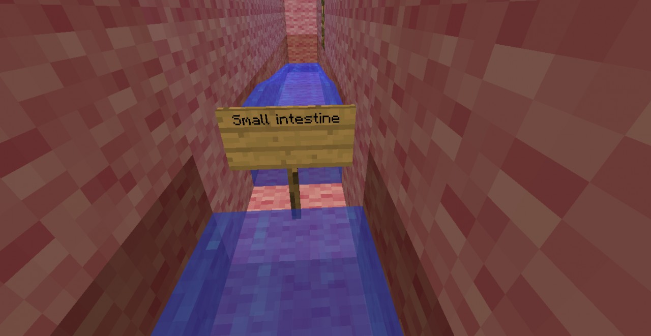 Get Eaten by A Human Minecraft Map
