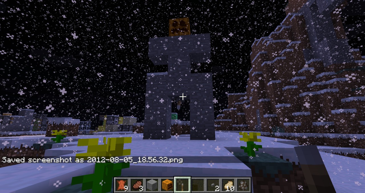 Whoops Minecraft Map