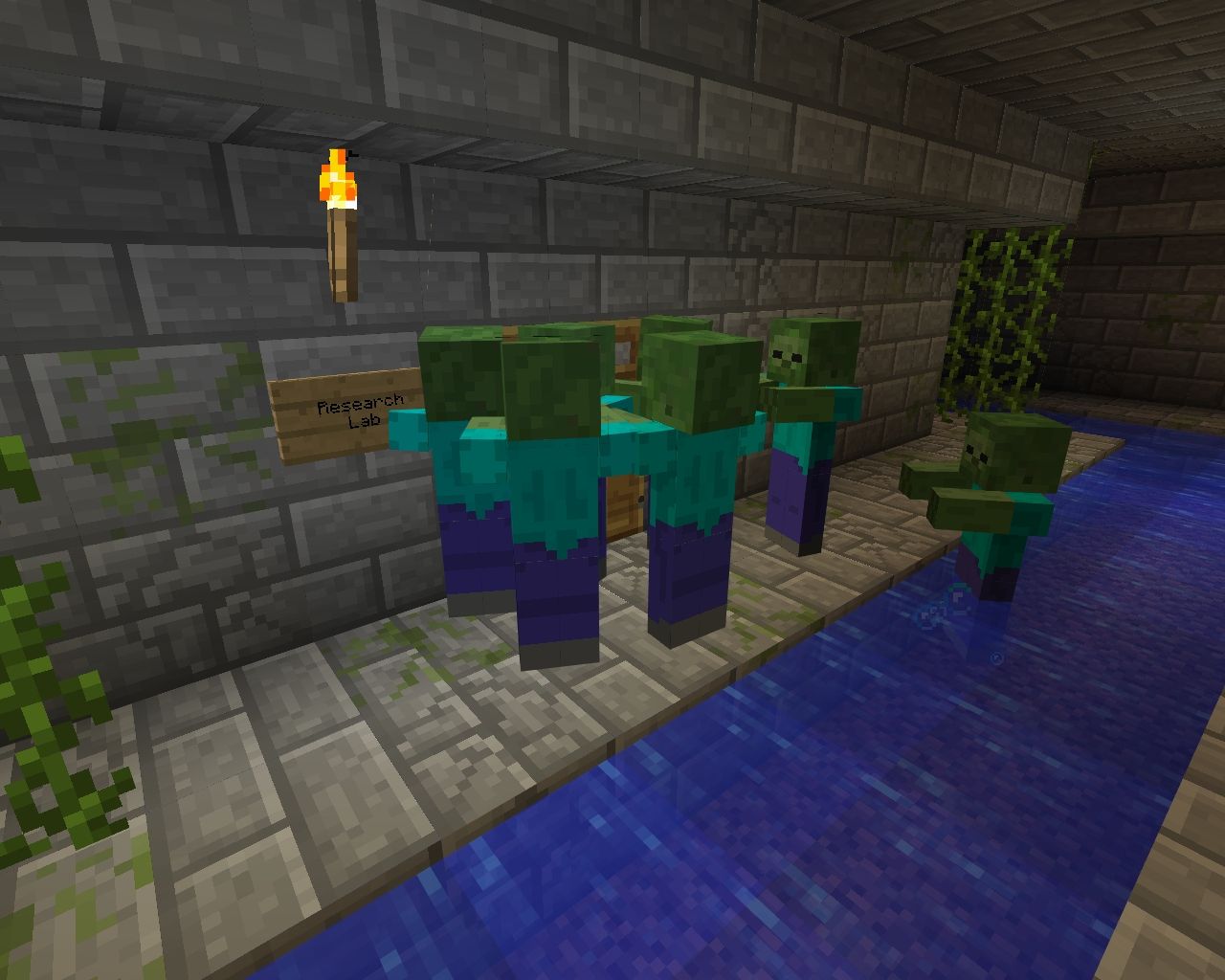 Sewer's Minecraft Map