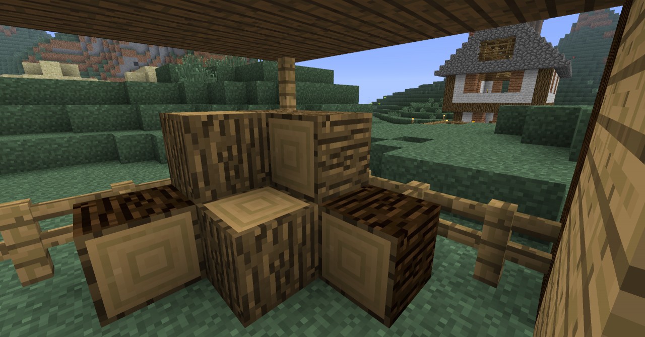 Village Minecraft Map