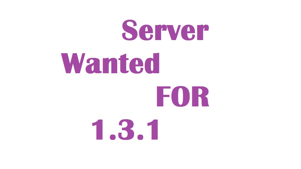 1.3 Server WANTED