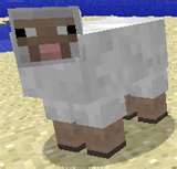 How To Make A Multicolored Sheep Farm