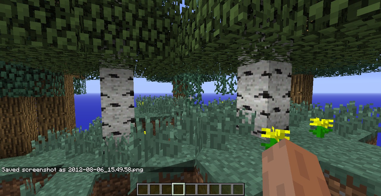 SkyBlock Minecraft Map