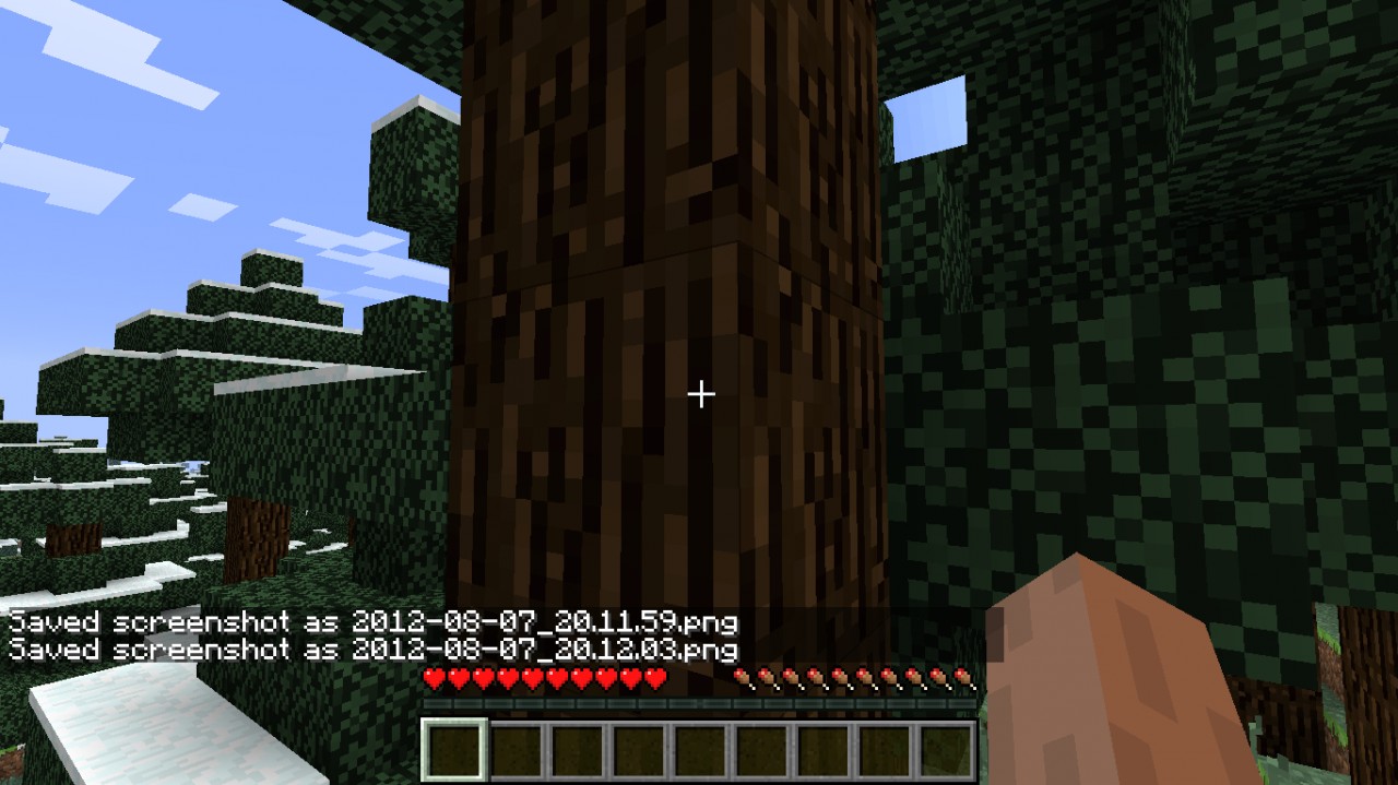 The world! Download now! Minecraft Map