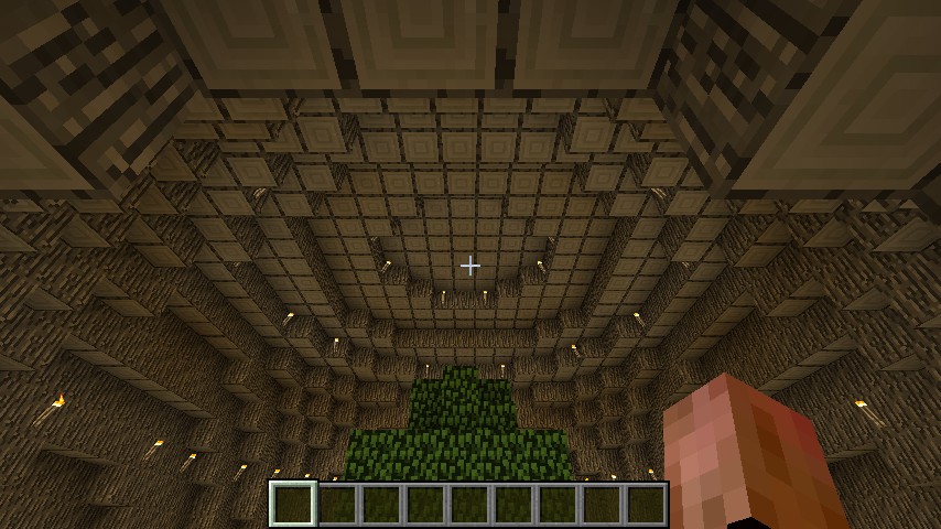 Challenge Map Minecraft Map