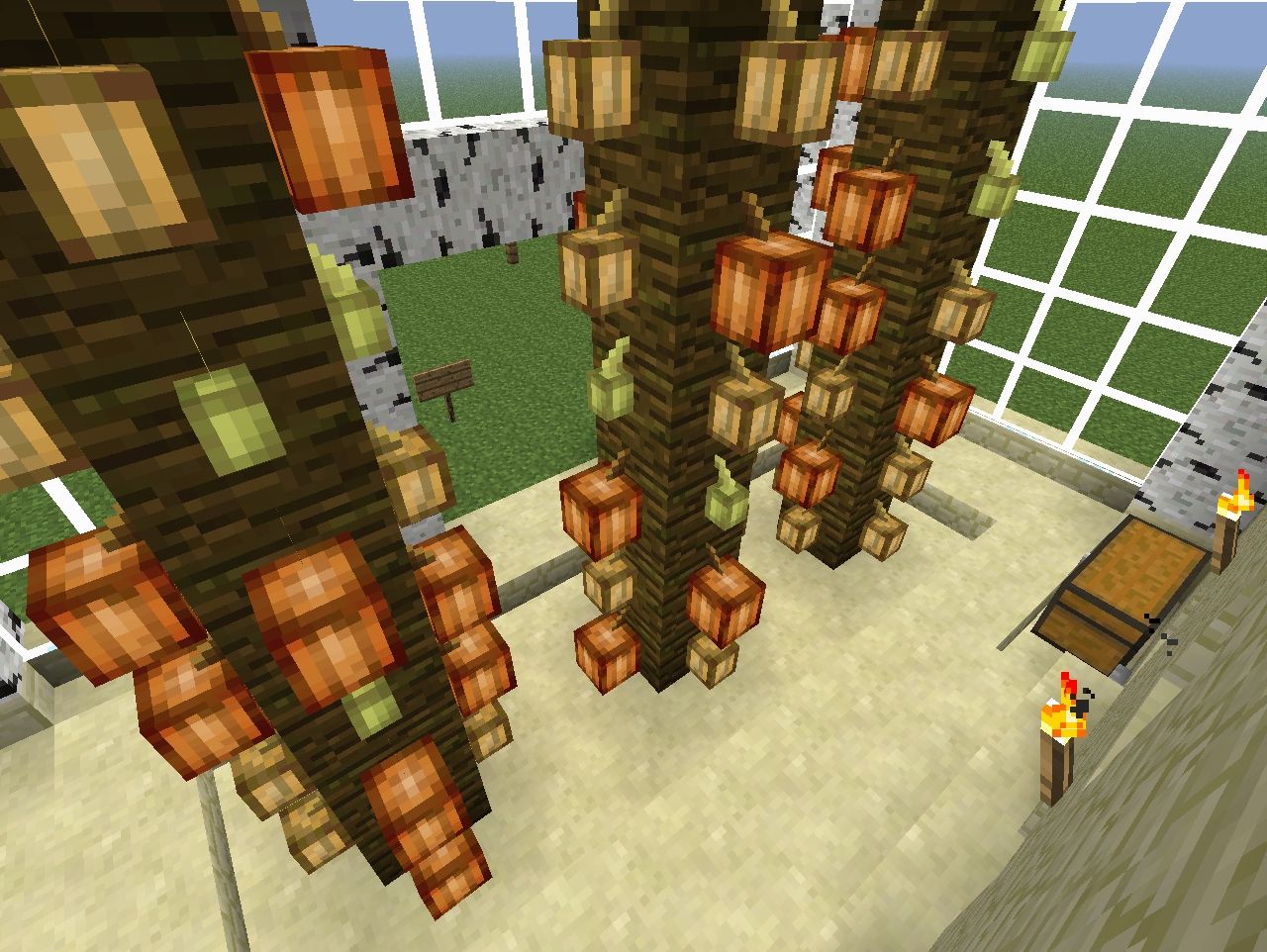 Cocoa Bean Farm 1.3.1 Minecraft Map