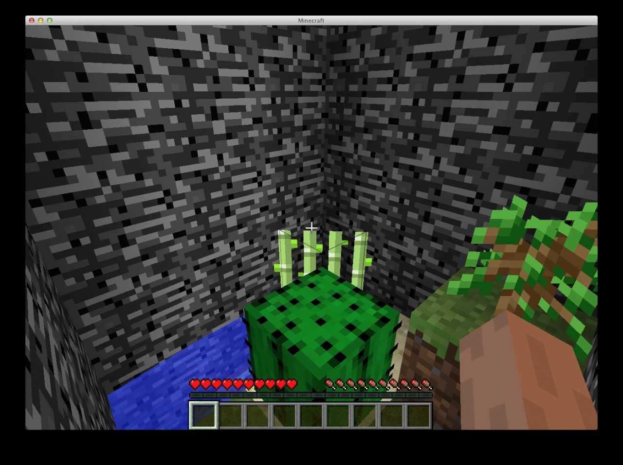 The Tube Minecraft Map