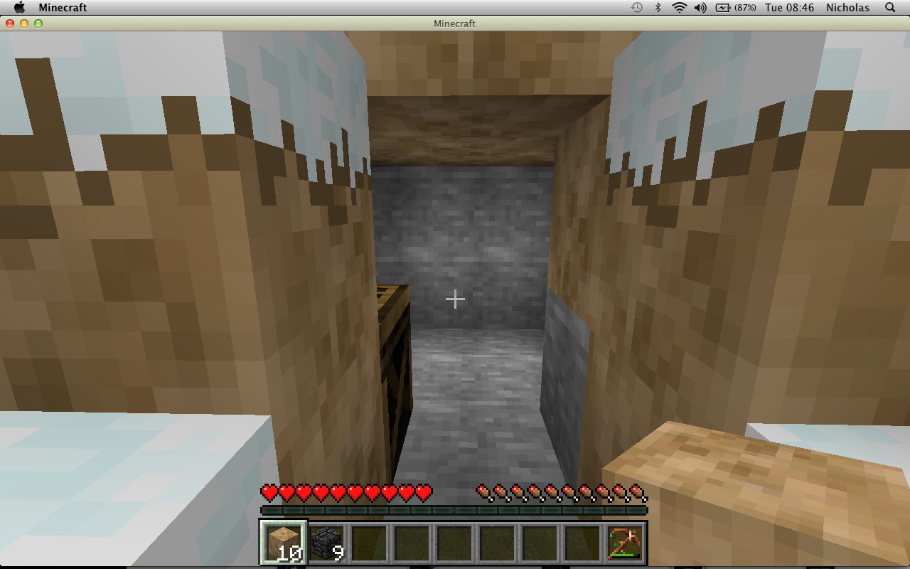 My new Minecraft Diary!