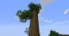 Fallen Tree Islands Minecraft Map