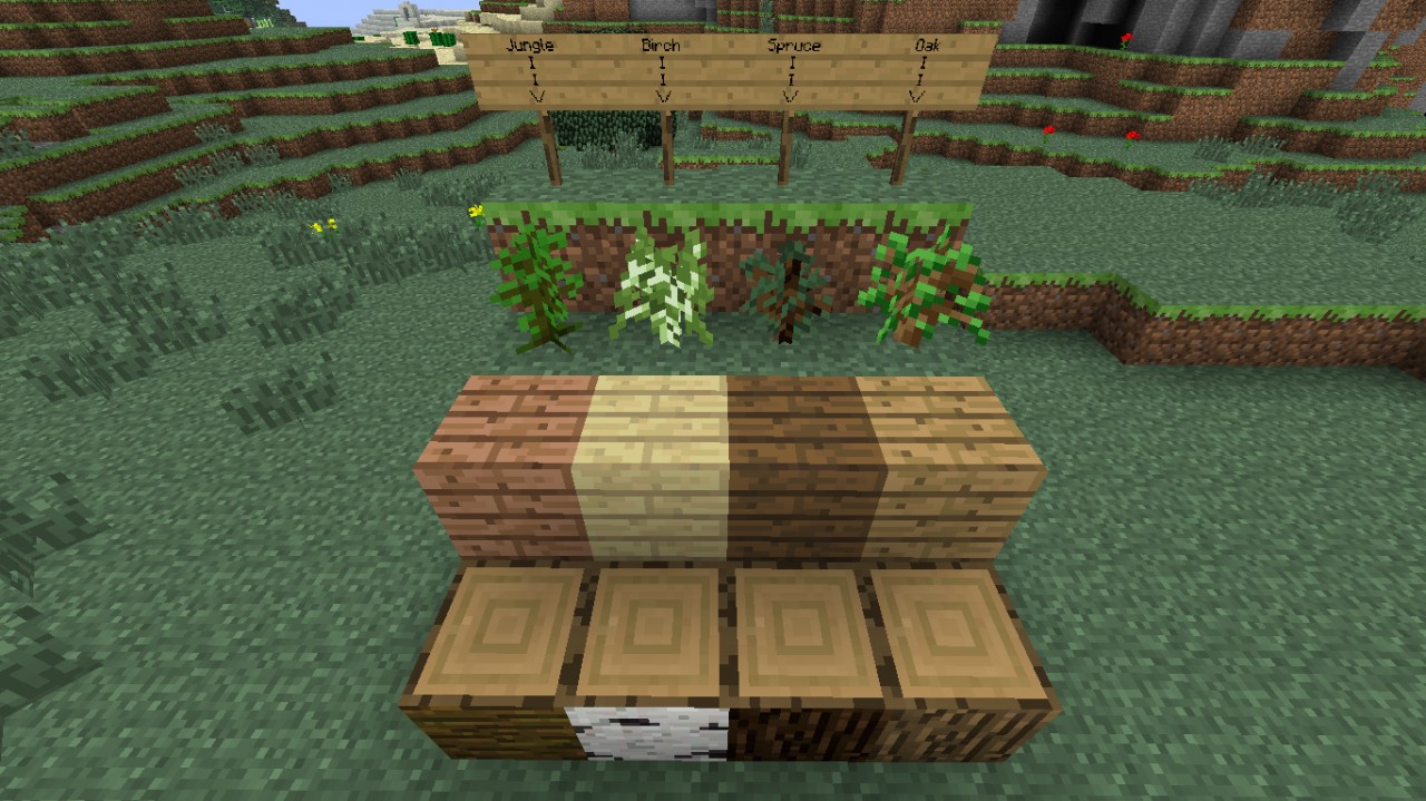 The Inside to Wood Minecraft Map