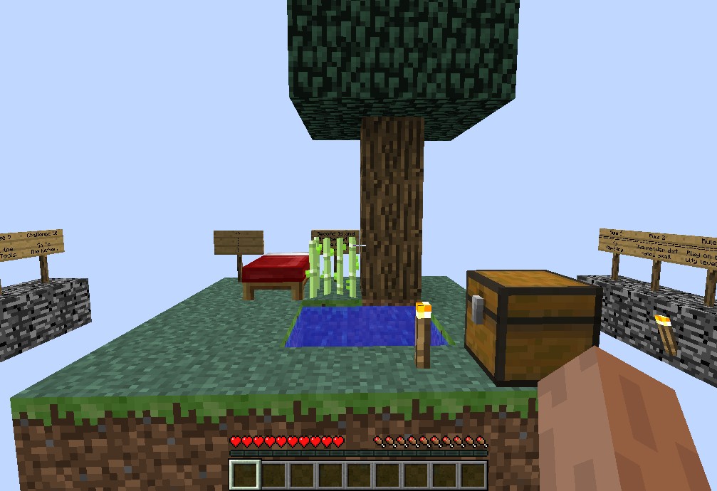 Skyblock Custom Minecraft Map