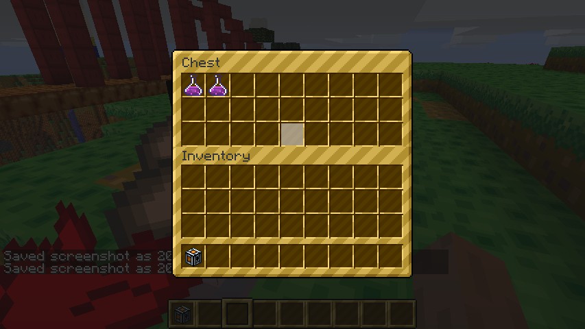 Super Mario Bros. Land Minecraft Map