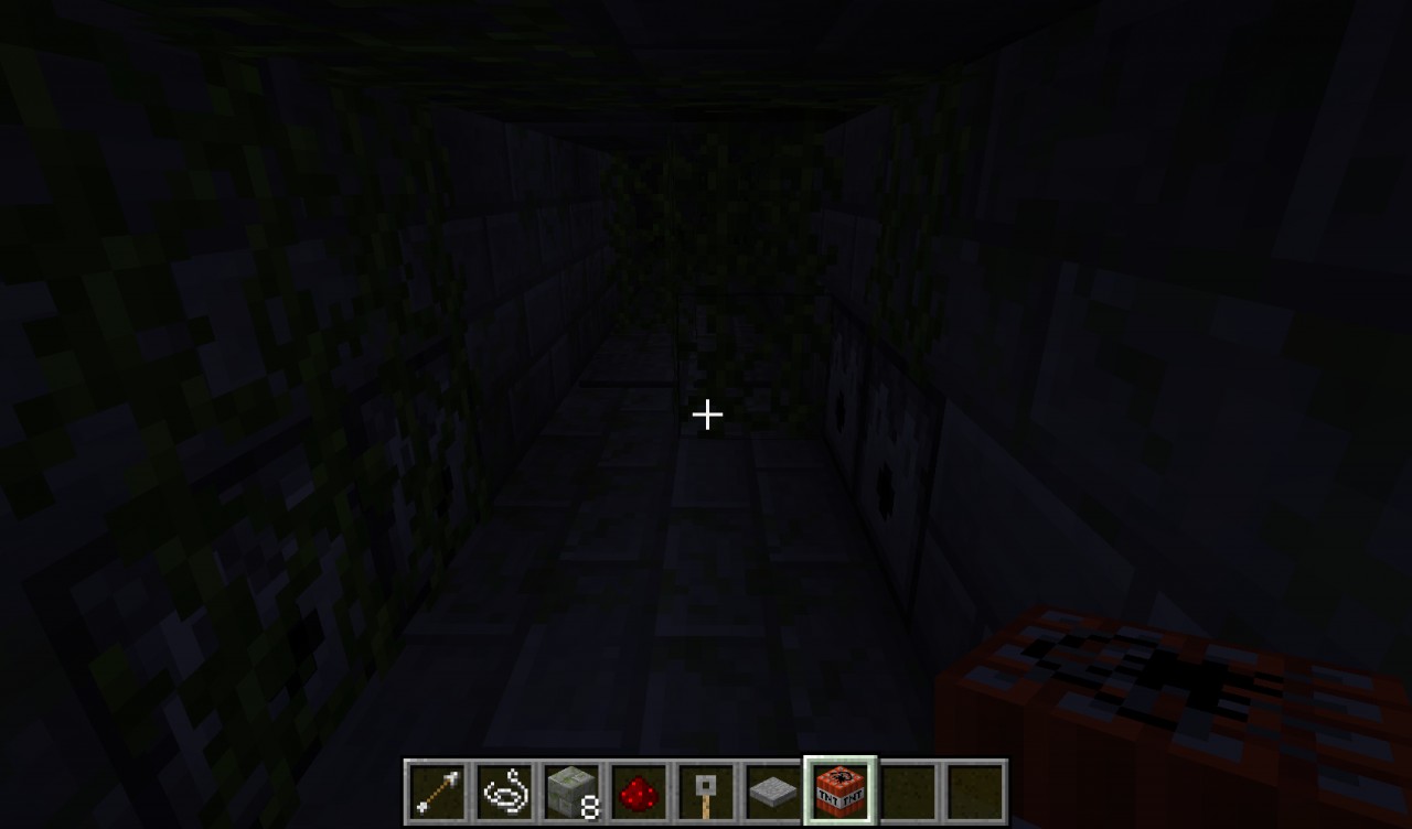 silverfish dungeon Minecraft Map