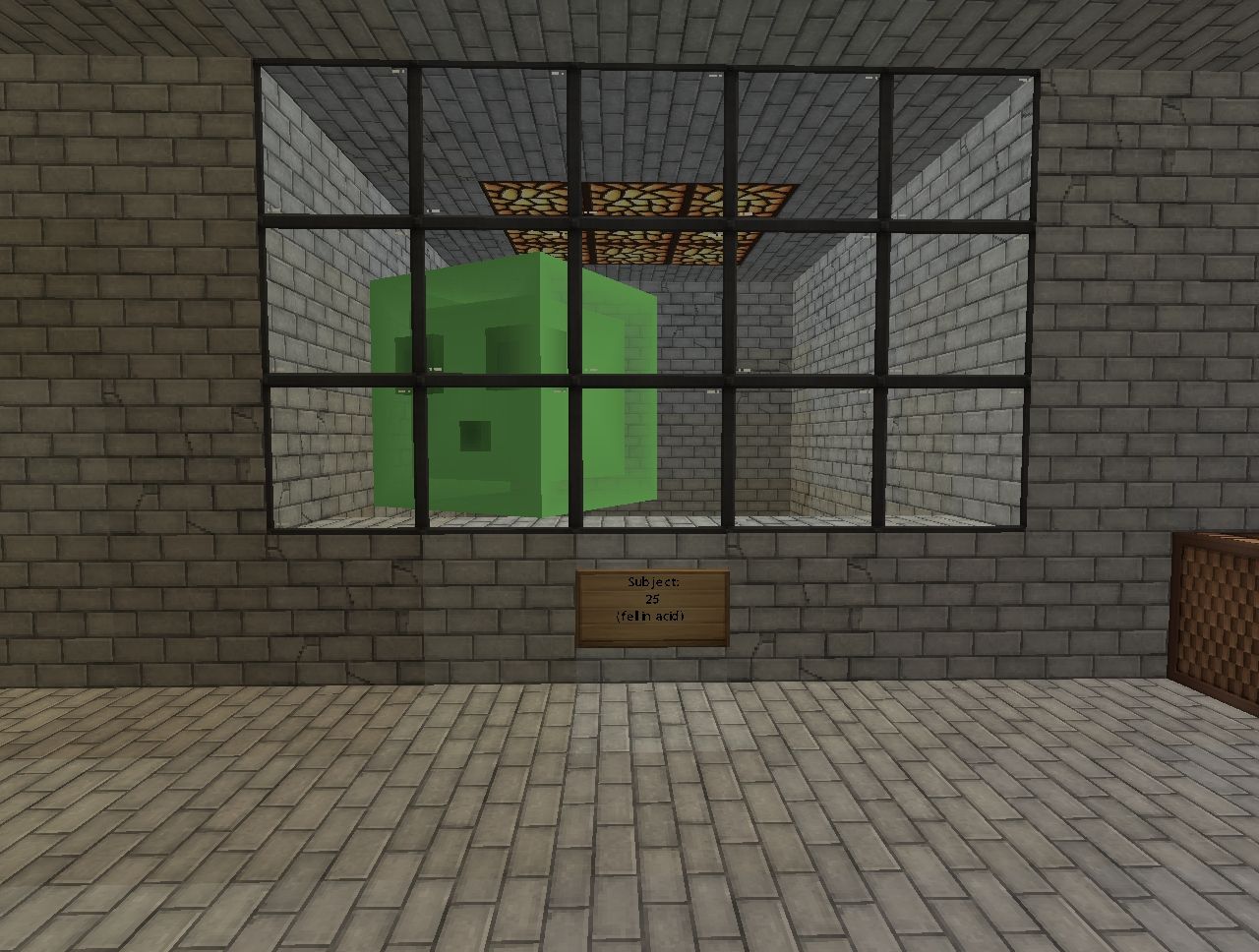 Laboratory Minecraft Map