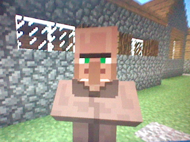 the big village Minecraft Map