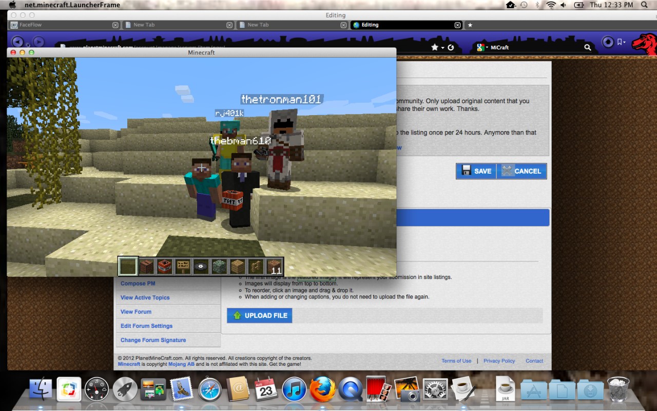 MiCraft Minecraft Server