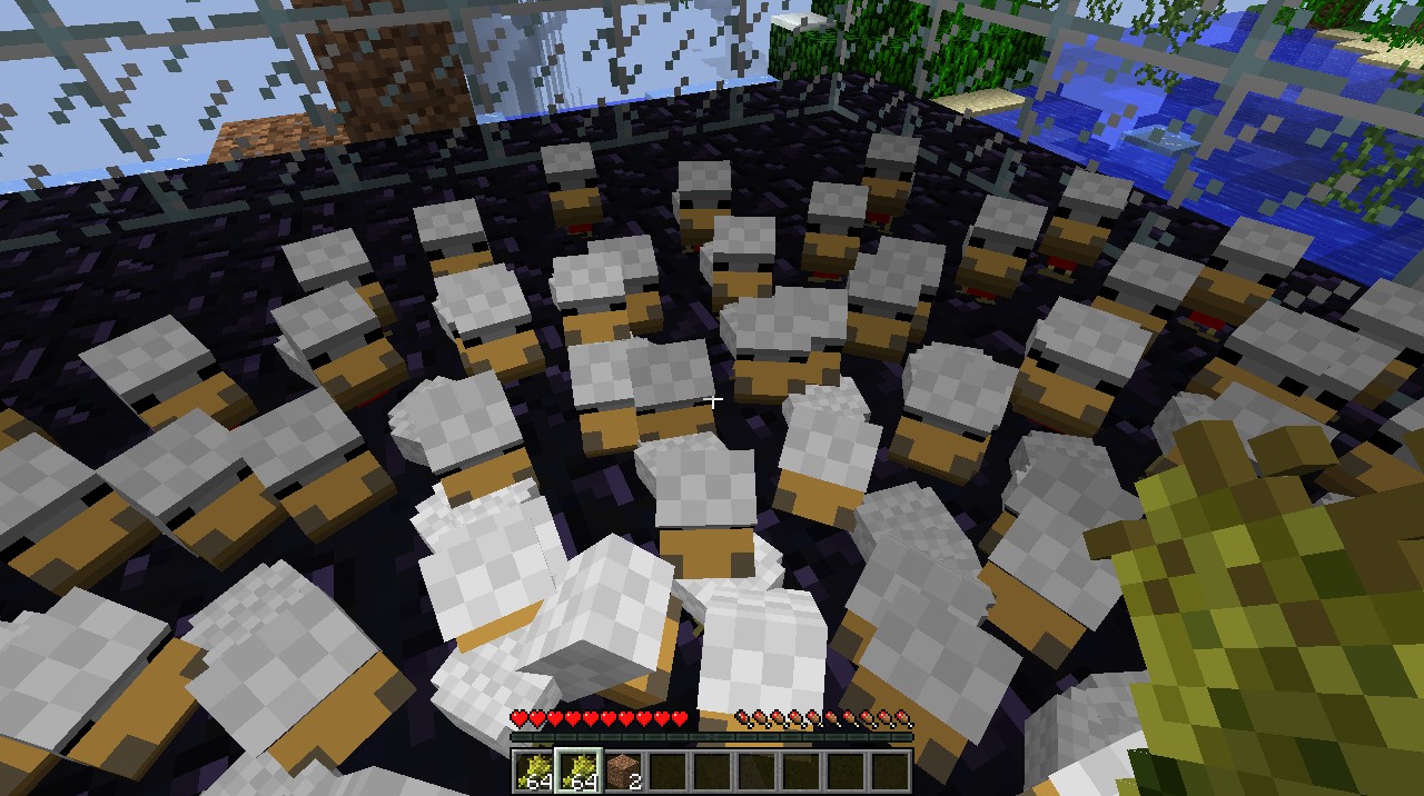 OMG CHICKENS!!! Minecraft Map