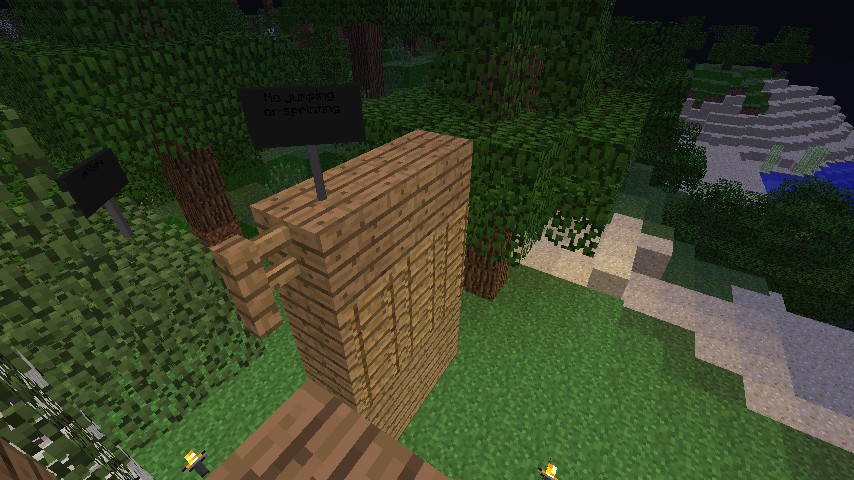 Skill Test Minecraft Map