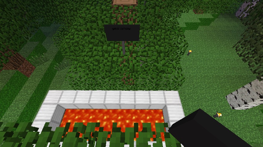 Skill Test Minecraft Map