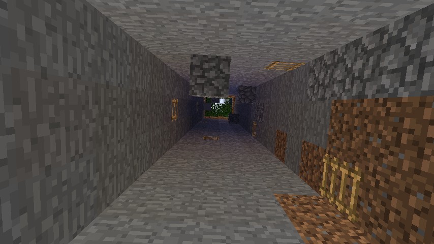 Skill Test Minecraft Map