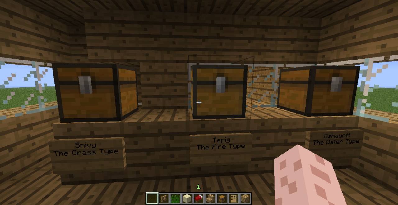 Unova Update 1 Route 1 nearly finished! Minecraft Map