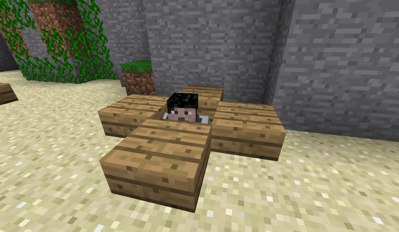 The Overseer Games Minecraft Server