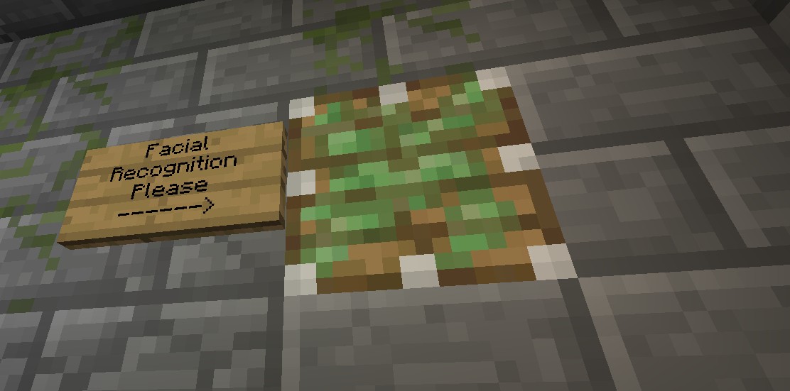 Facial Recognition - No Mods! Minecraft Map