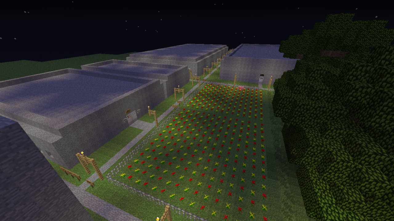 Asylum Minecraft Map
