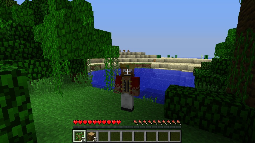 Paddy plays Minecraft!