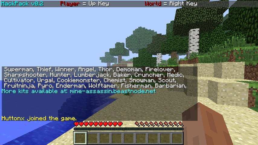 Hunger Games Minecraft Server