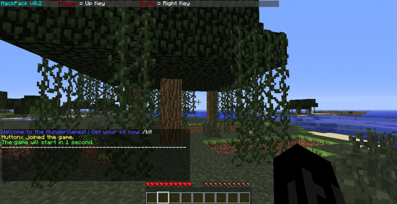 Hunger Games Minecraft Server