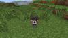 Wolf Pack (Black Wolf) Minecraft Texture Pack