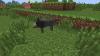 Wolf Pack (Black Wolf) Minecraft Texture Pack