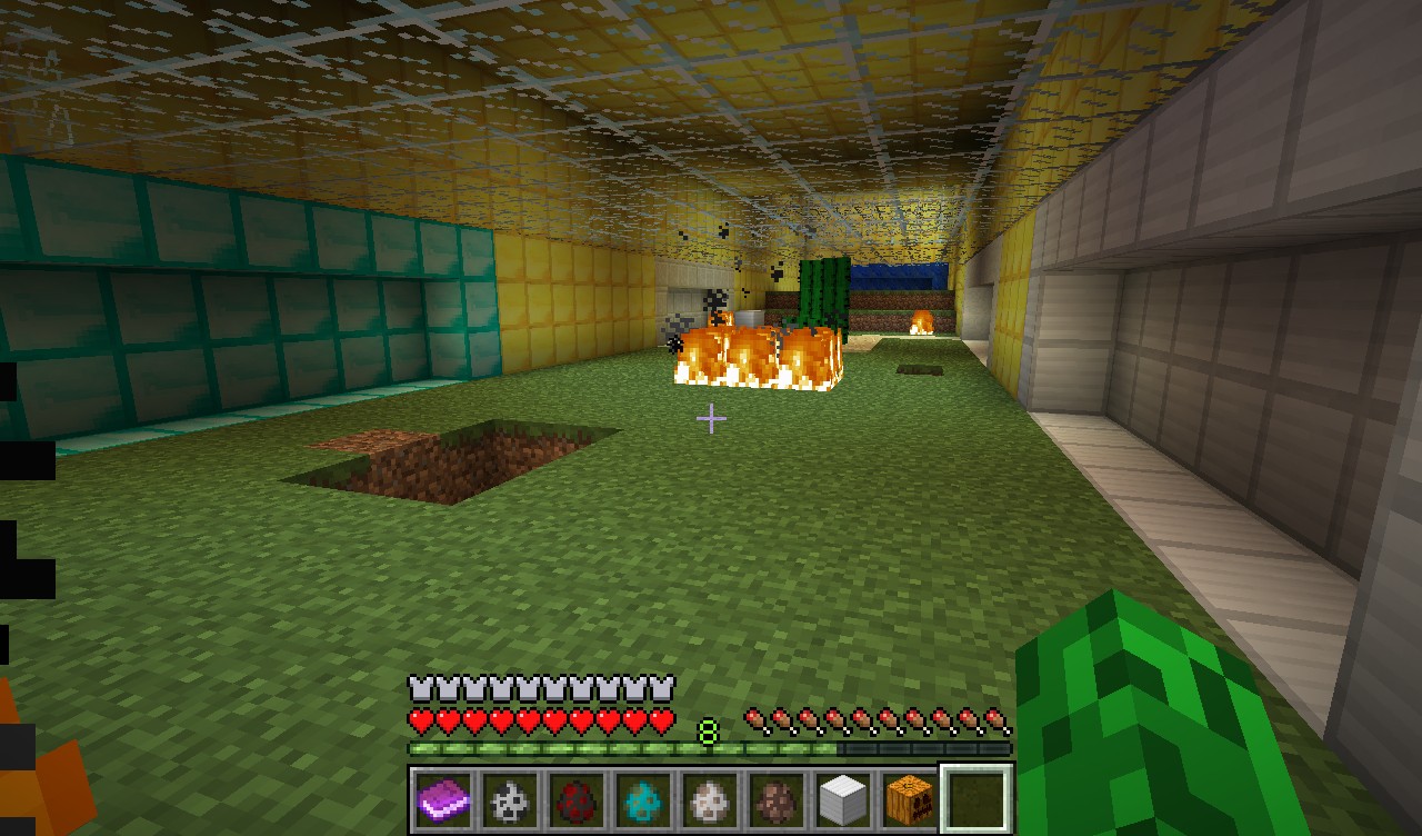 Mob Arena Minecraft Map