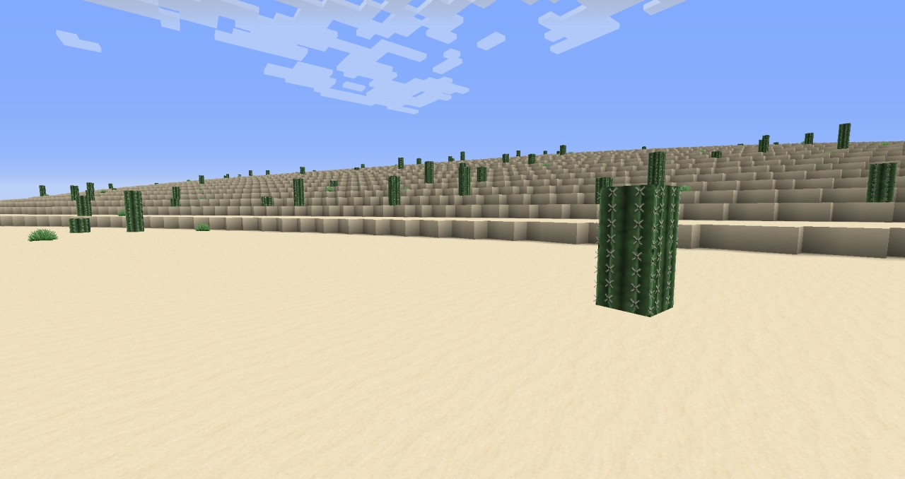 Survival Desert! Minecraft Project