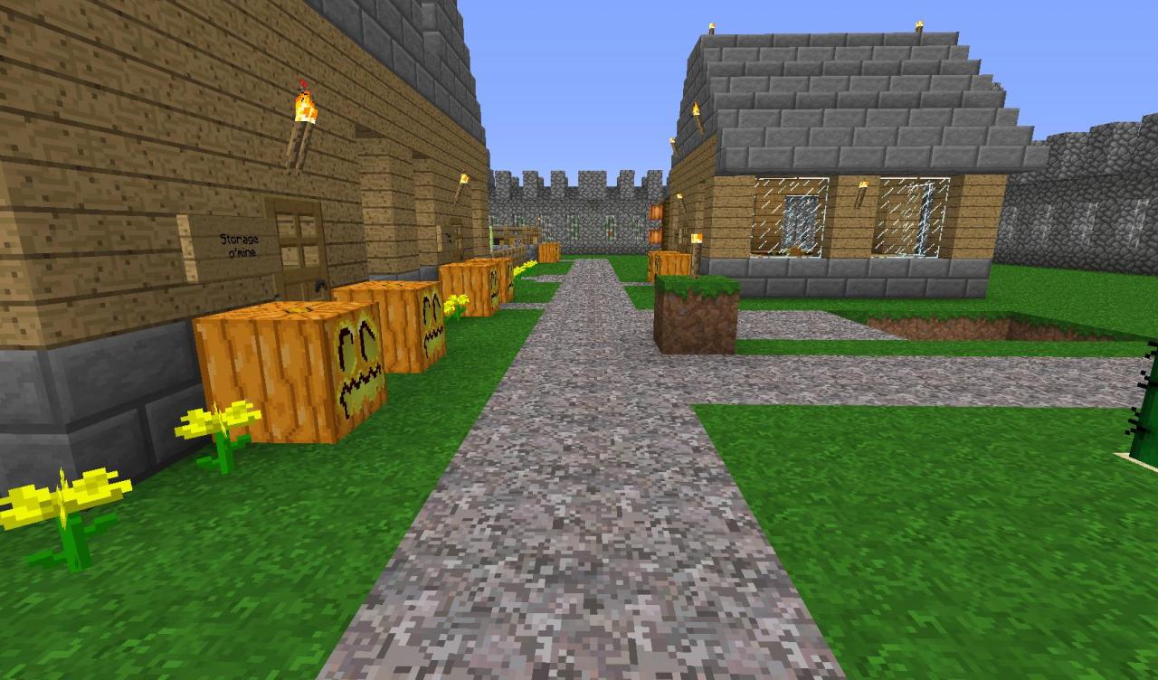 Fort with House and farm Minecraft Map