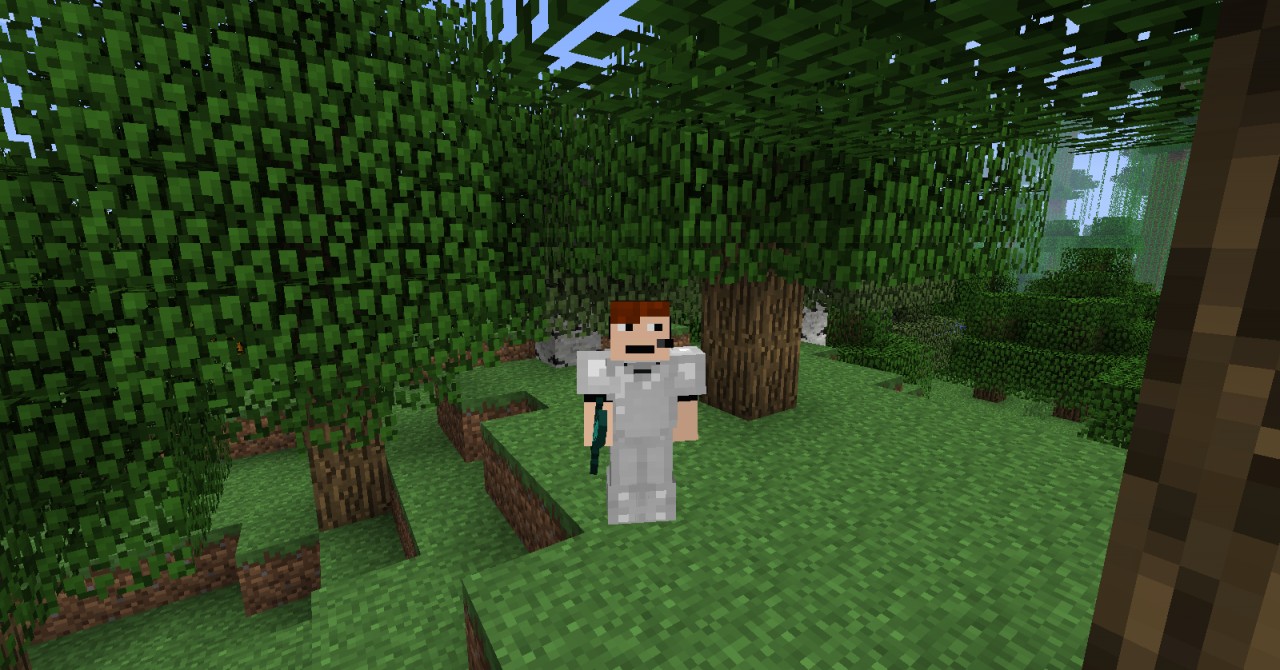 Super Thick Super Flat World Minecraft Map