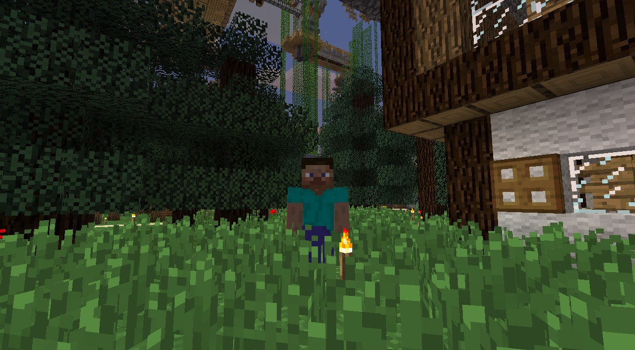 Steve Mod Minecraft Mod