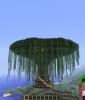 baobab tree Minecraft Map