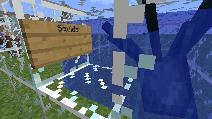 The Different Types Of Squid in Minecraft Minecraft Map