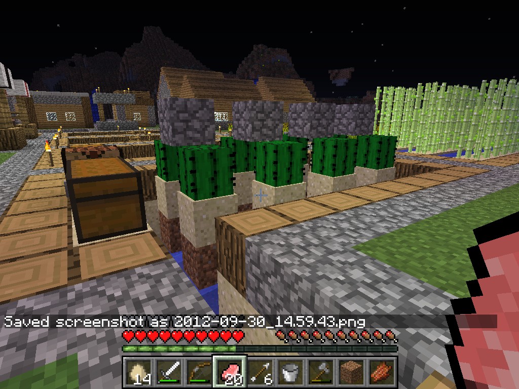 upgraded village (SURVIVAL) :) Minecraft Map