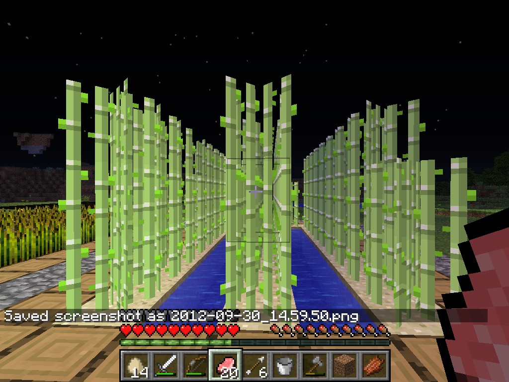 upgraded village (SURVIVAL) :) Minecraft Map