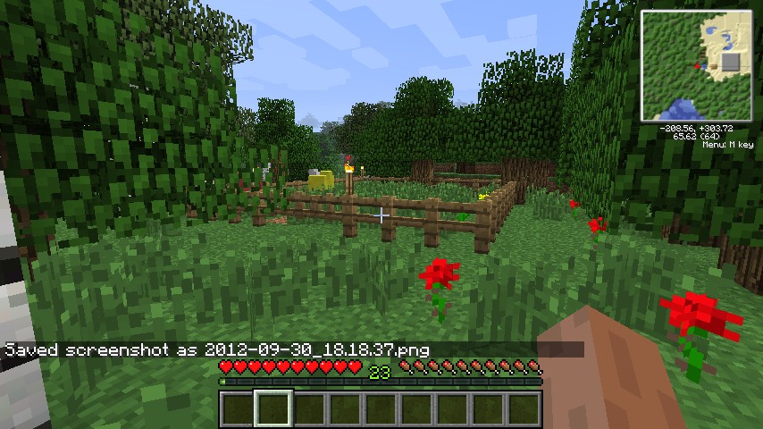 New World [ a.k.a New Life ] Minecraft Map