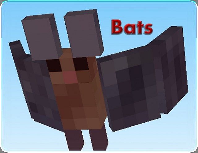 BATS